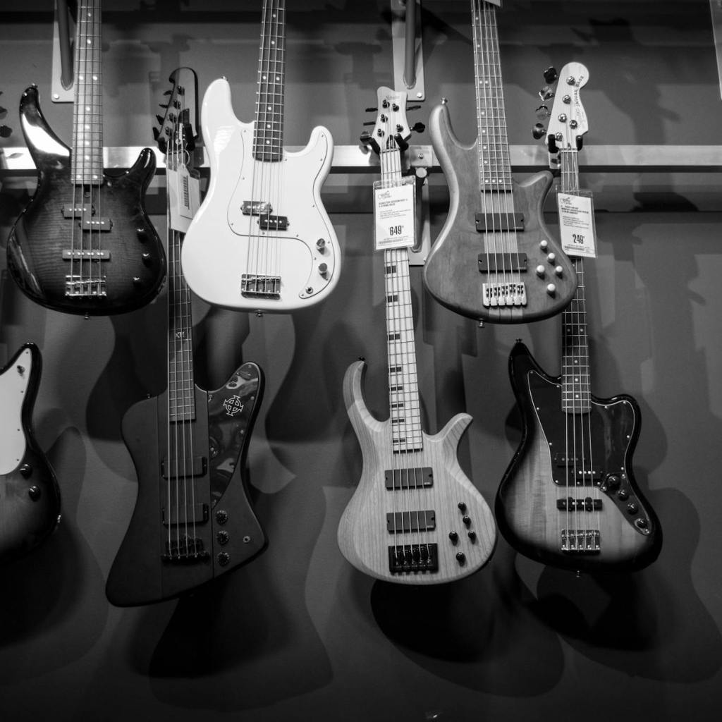 Exclusive Interview With The Meffs: Punk’s Coolest Duo – Fox Reviews Rock