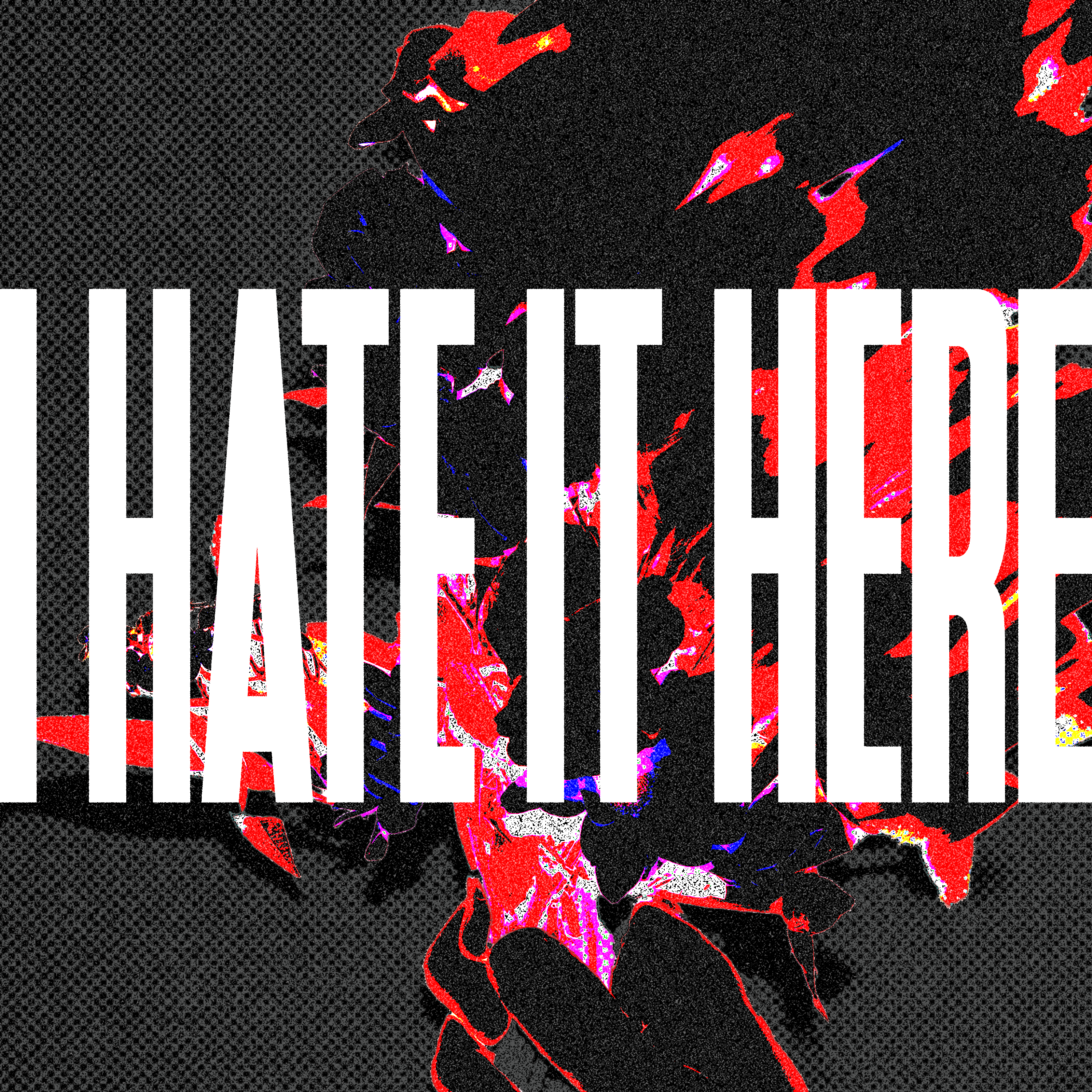 Song Of The Week – Haggard Cat – I Hate It Here – Fox Reviews Rock